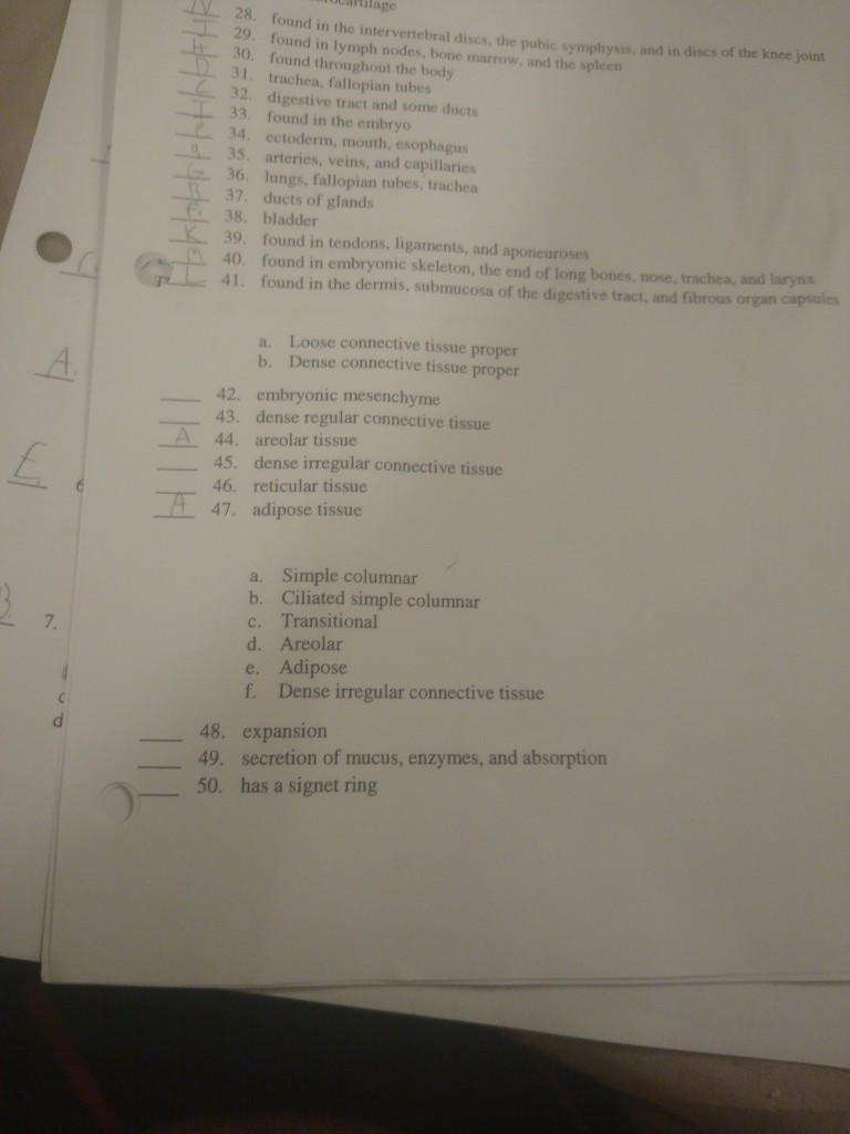 Solved Anatomy & Physiology Chapter 4 Study Guide D. 15. | Chegg.com