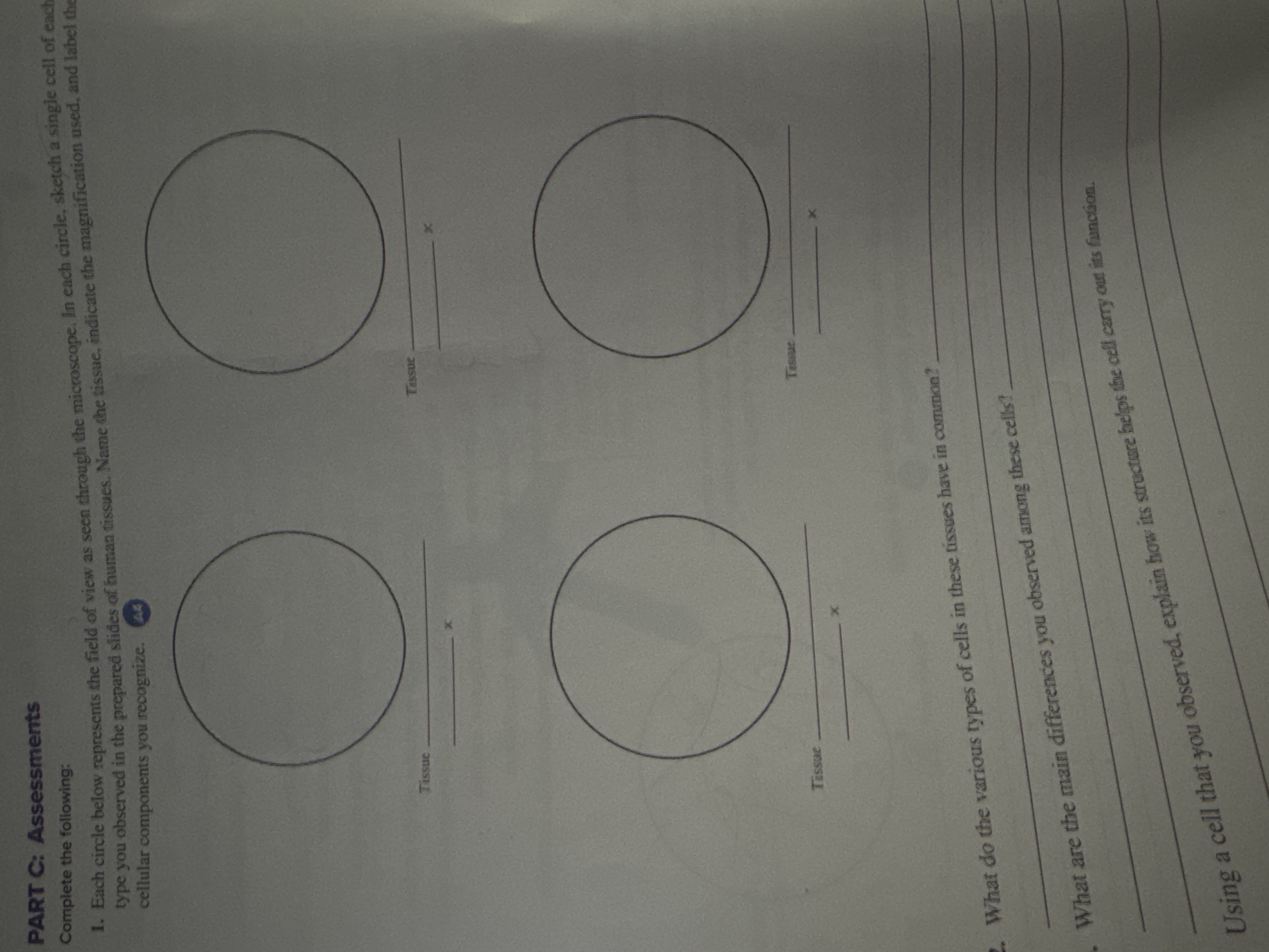 Solved PART C: AssessmentsComplete the following:1. Each | Chegg.com Solved PART C: AssessmentsComplete the following:1. Each | Chegg.com