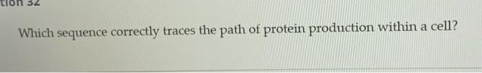 Solved Which sequence correctly traces the path of protein | Chegg.com