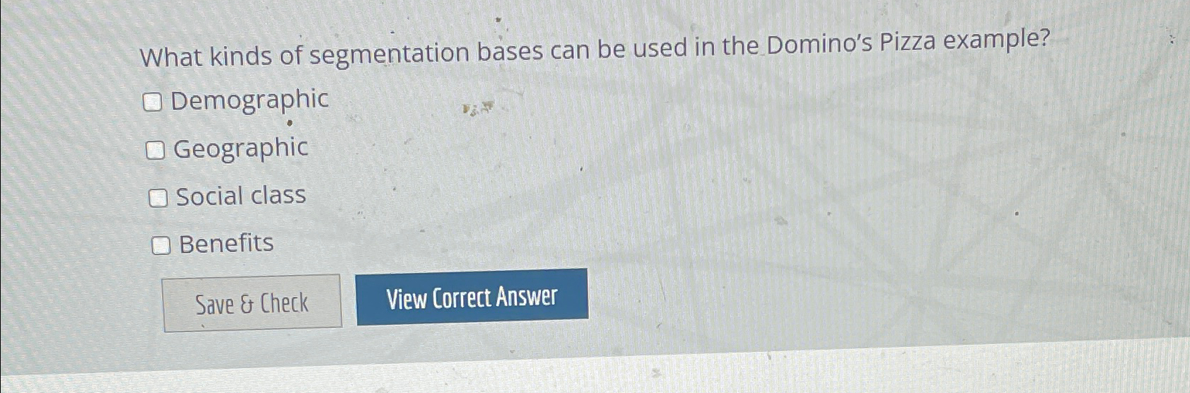 Solved What kinds of segmentation bases can be used in the | Chegg.com