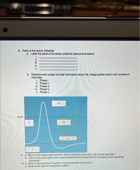 Solved 8. Parts of the Action Potential a. Label the parts | Chegg.com