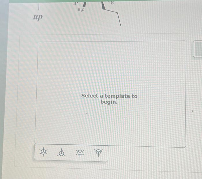 Solved Draw the Newman projection so thet it corresponds to | Chegg.com