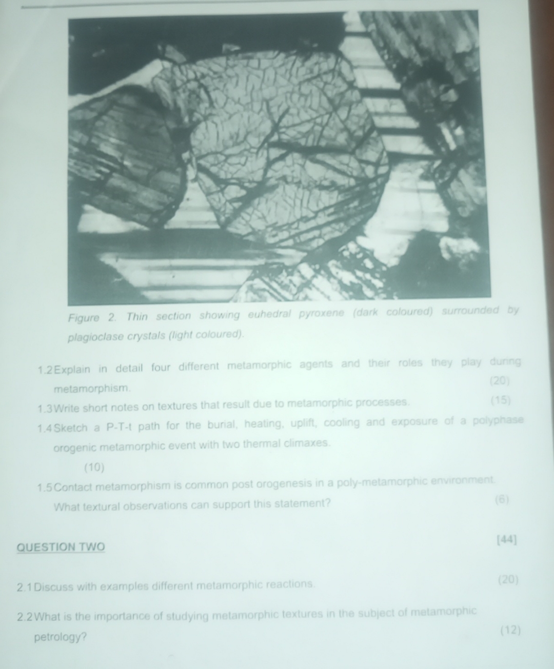 Solved Figure 2. ﻿Thin section showing euhedral pyroxene | Chegg.com