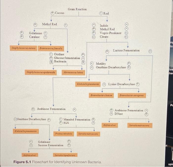 Solved please help me find the information for | Chegg.com