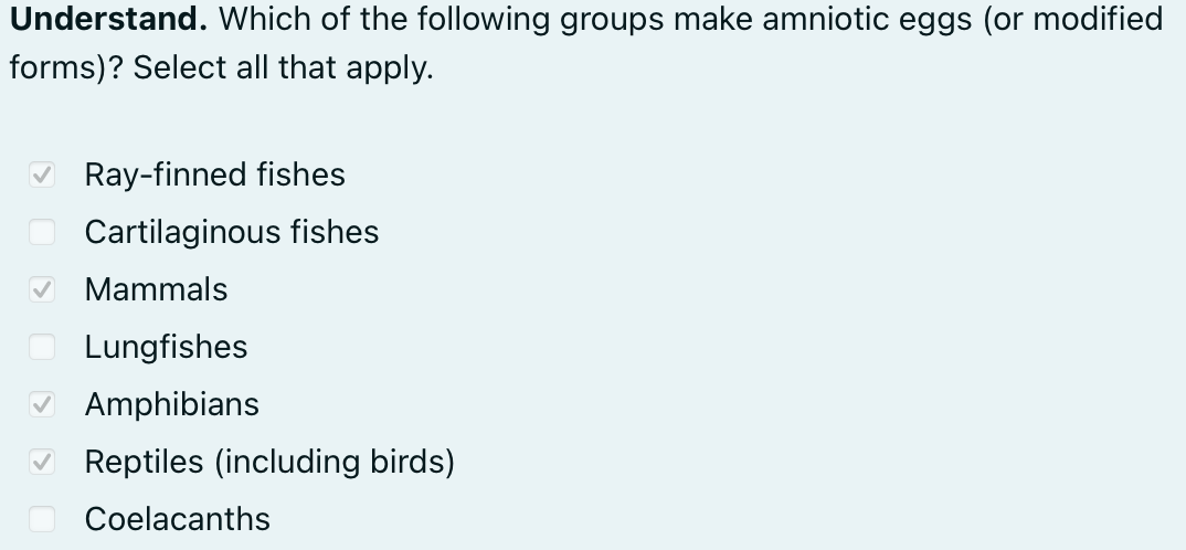 Solved Understand. Which of the following groups make | Chegg.com