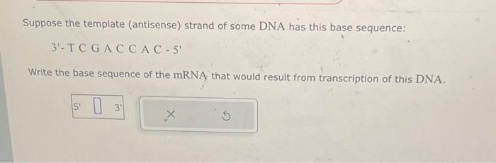 Solved Suppose the template (antisense) strand of some DNA | Chegg.com