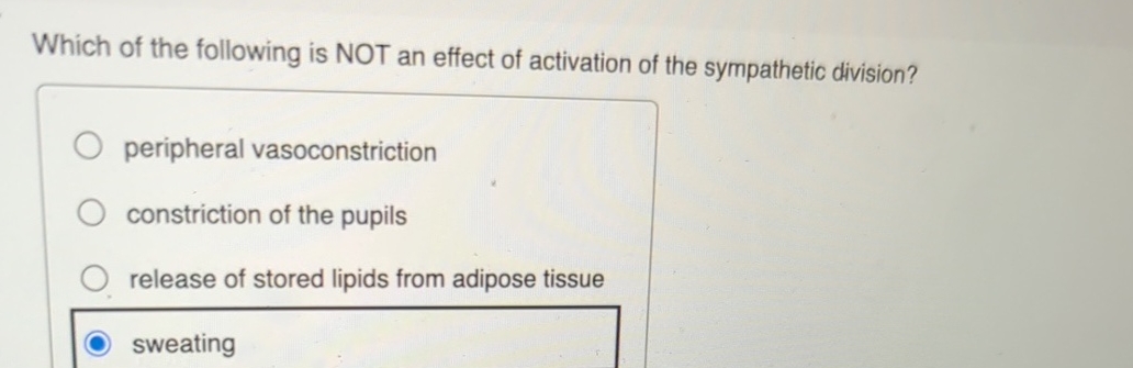 Solved Which of the following is NOT an effect of activation | Chegg.com