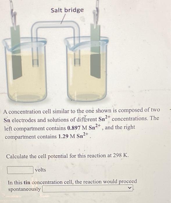 Solved Salt bridge A concentration cell similar to the one | Chegg.com