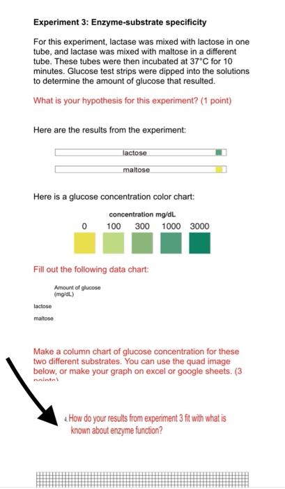 Solved Experiment 3: Enzyme-substrate specificity For this | Chegg.com