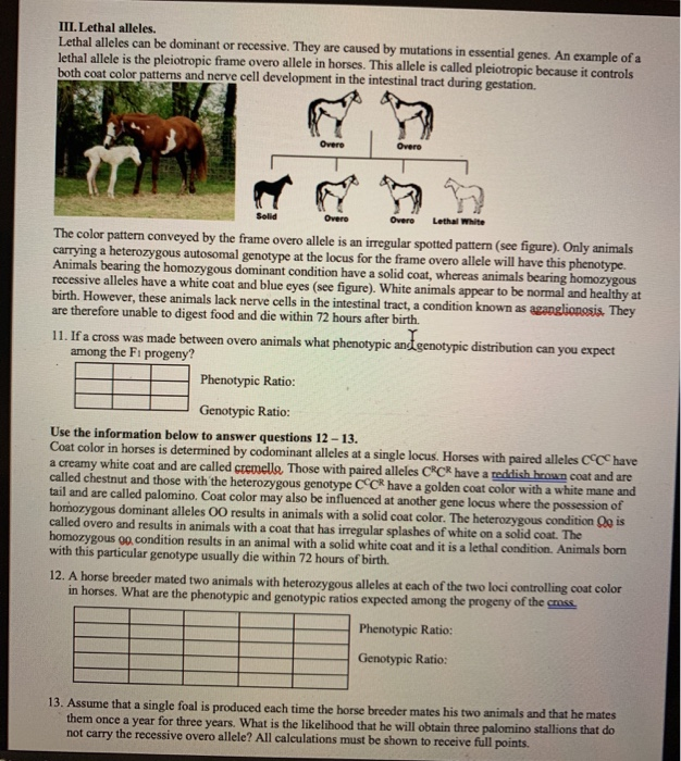 Solved Genes that led to as to comply when and these pe can | Chegg.com