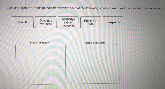 Solved Click and drag the labels to indicate whether each of | Chegg.com
