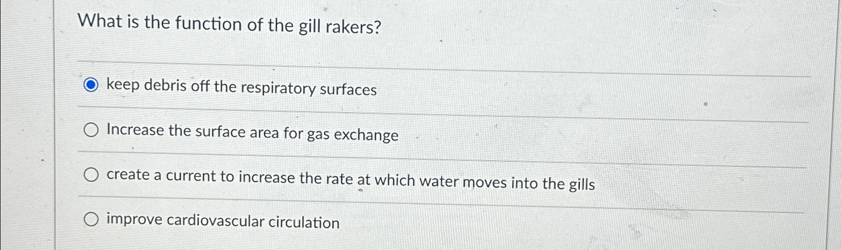 Solved What is the function of the gill rakers?keep debris | Chegg.com