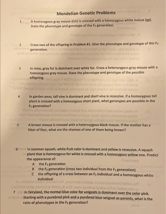 Solved 1 Mendelian Genetic Problems A homozygous gray mouse | Chegg.com