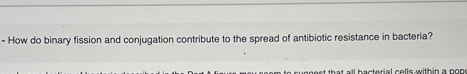 Solved How do binary fission and conjugation contribute to | Chegg.com