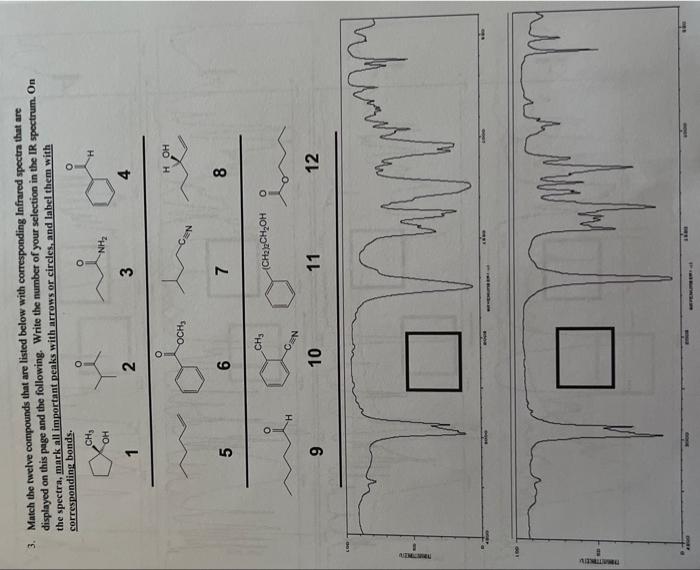 Solved Please make answers clear and label molecular motions | Chegg.com