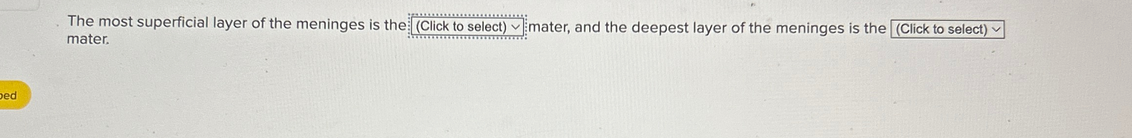 Solved The most superficial layer of the meninges is the | Chegg.com