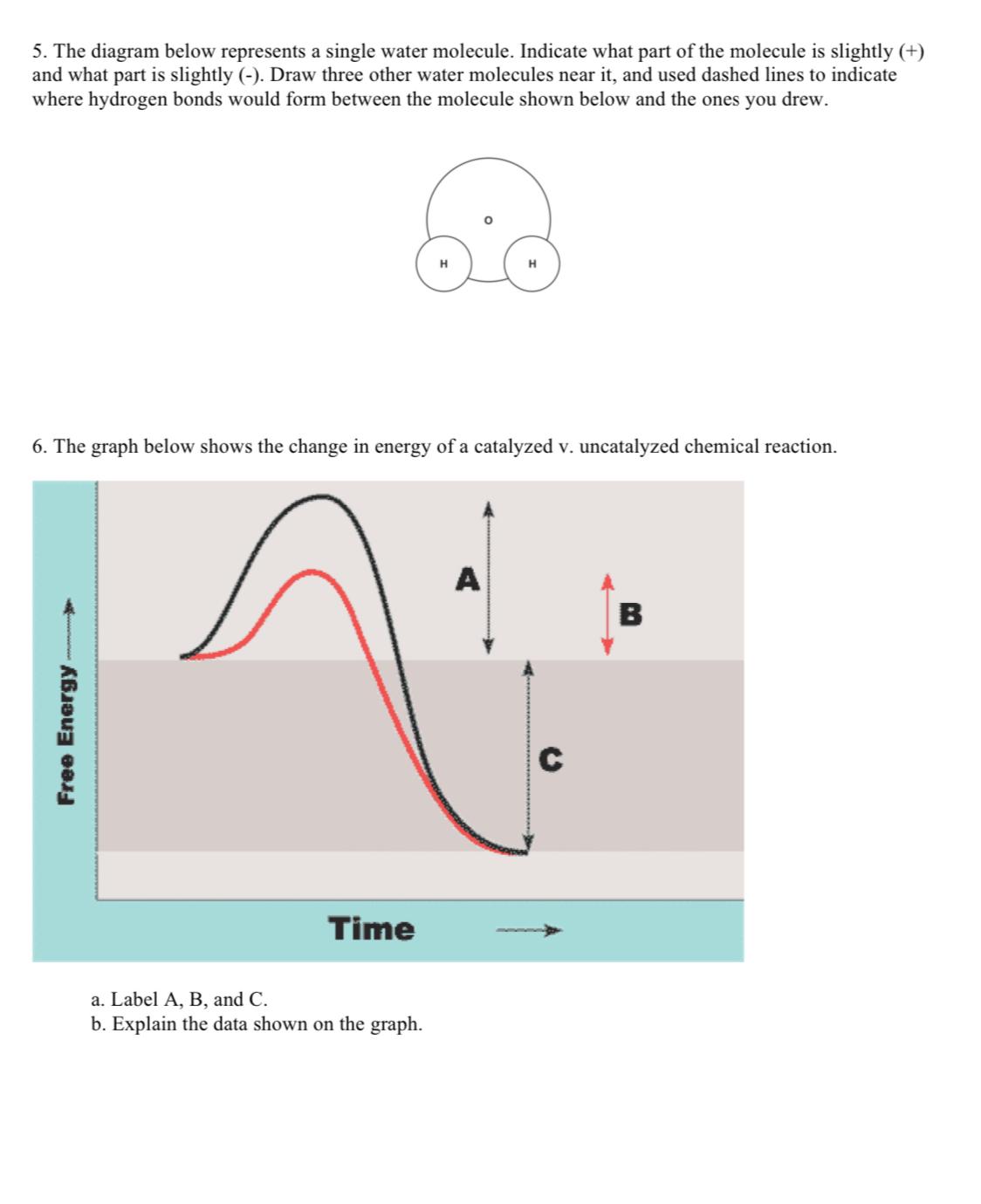 Solved The diagram below represents a single water molecule. | Chegg.com