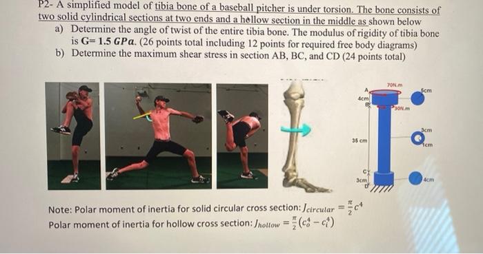Solved P2- A simplified model of tibia bone of a baseball | Chegg.com