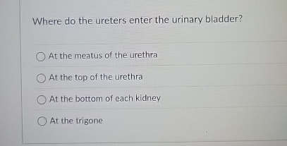 Solved Where do the ureters enter the urinary bladder?At the | Chegg.com