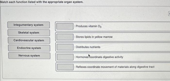 Solved Match each function listed with the appropriate organ | Chegg.com