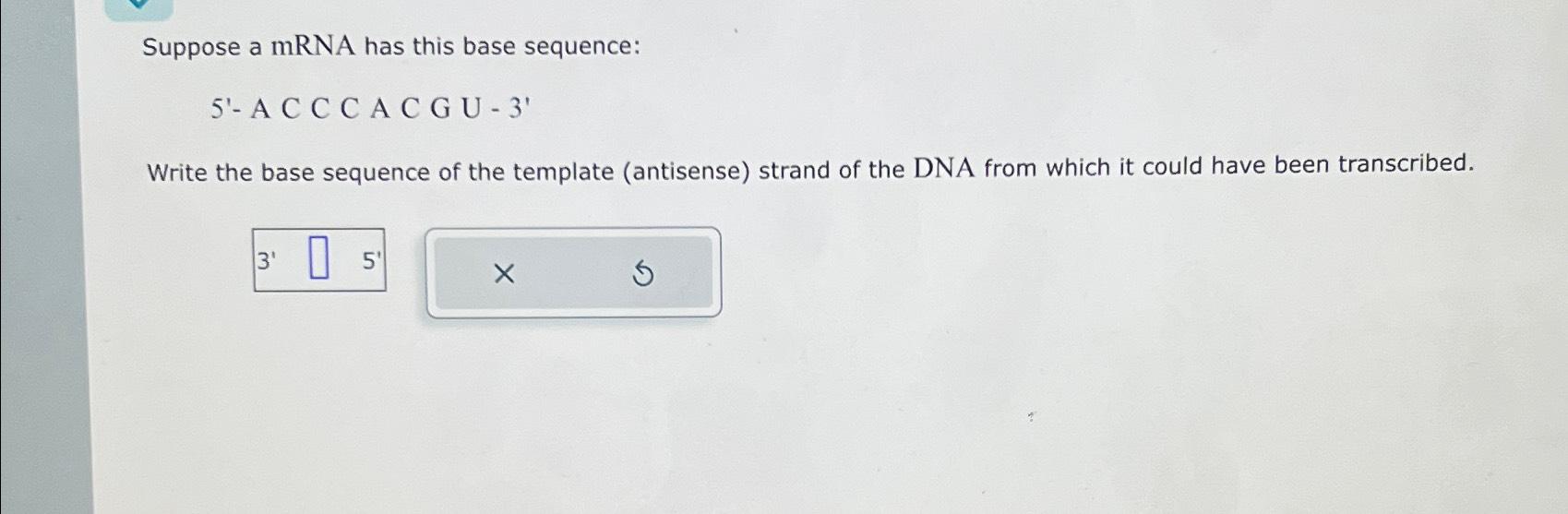 Solved Suppose a mRNA has this base sequence:5'- ﻿A C C C A | Chegg.com