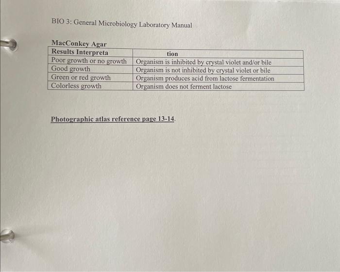 Solved Laboratory Exercise 12: Selective Media for Gram | Chegg.com