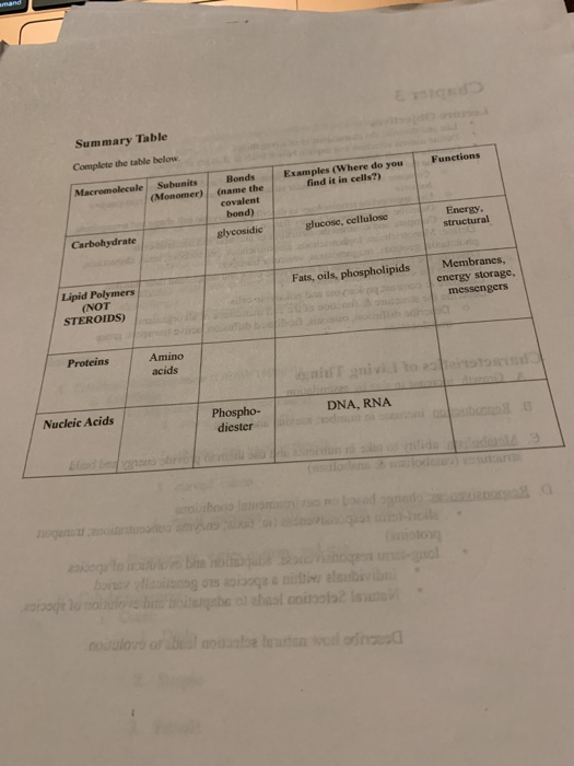 Solved Summary Table Complete the table below Functions | Chegg.com
