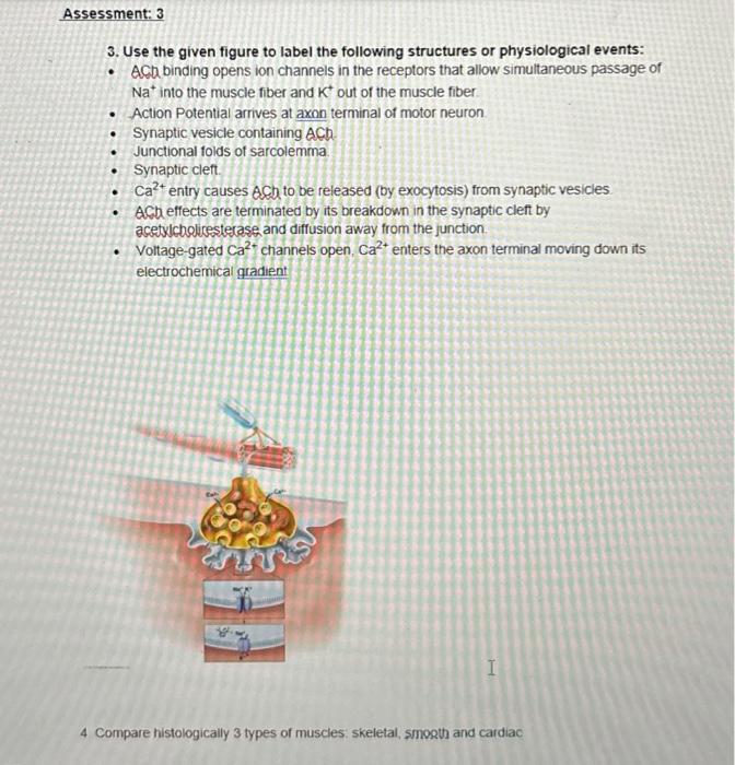 Solved 3. Use the given figure to label the following | Chegg.com