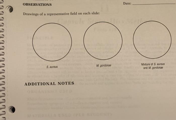 EXPERIMENT 10 Acid Fast Stain-Kinyoun Method Photos | Chegg.com