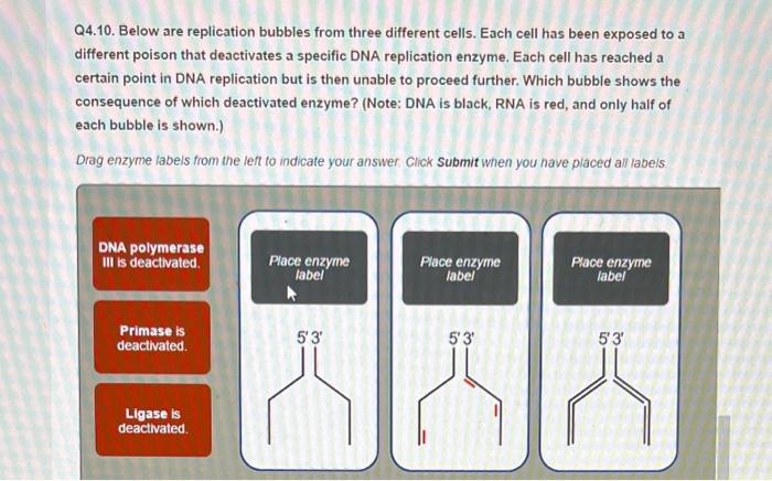[Solved]: Q4.10. Below are replication bubbles from three d