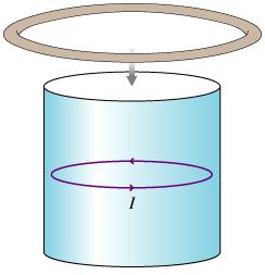 Solved A loop of wire is initially held above a short | Chegg.com