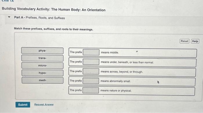 Solved Bullding Vocabulary Activity: The Human Body: An | Chegg.com