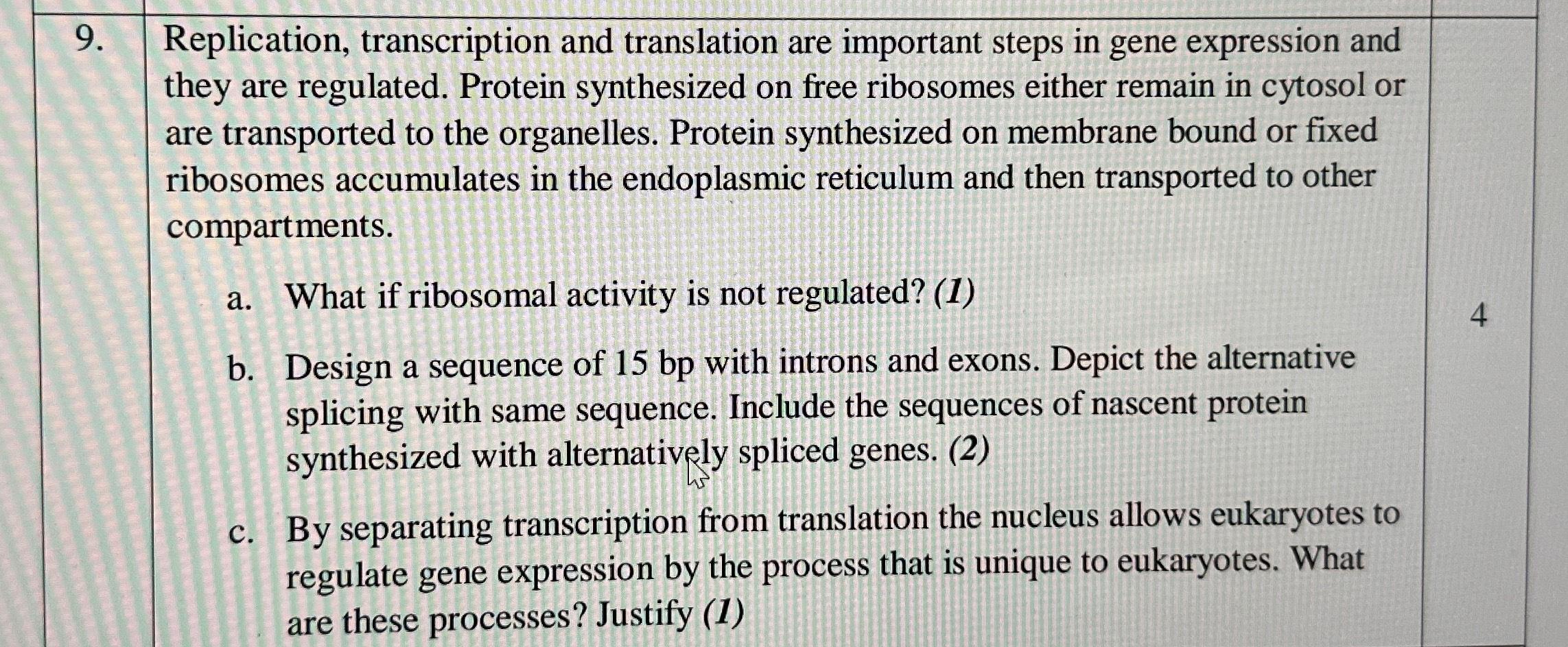 Solved Replication, transcription and translation are | Chegg.com