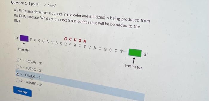 Solved An RNA transcript (short sequence in red color and | Chegg.com