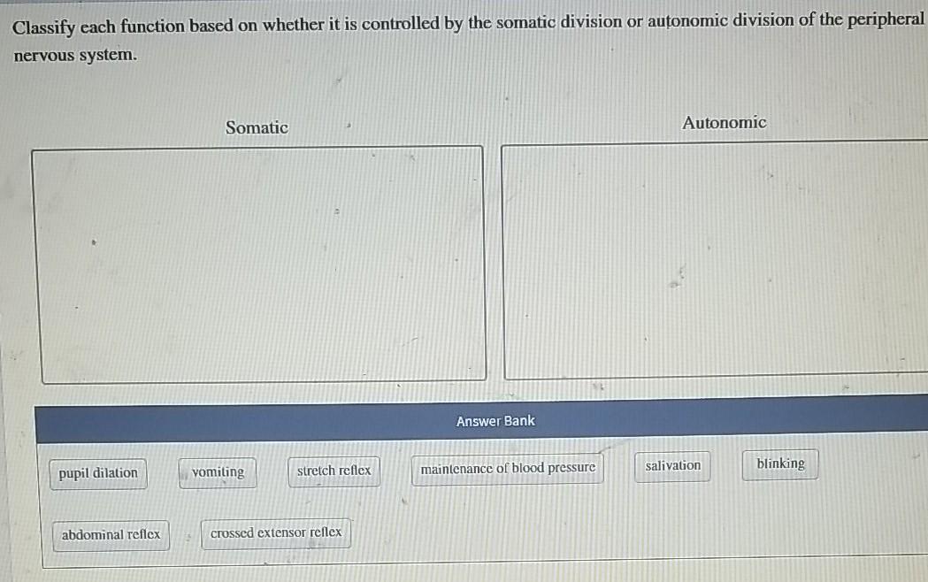 Solved Classify each function based on whether it is | Chegg.com