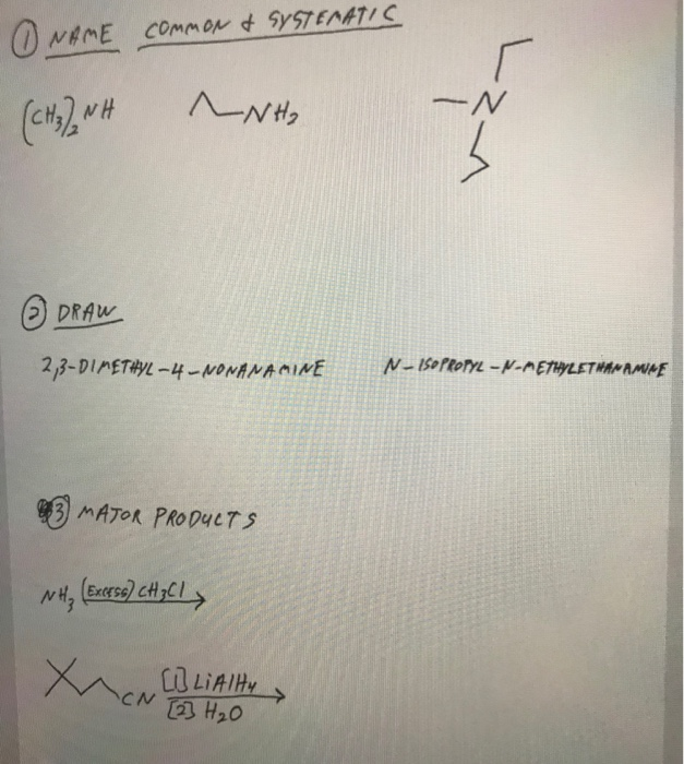 Solved O NAME commoN & SYSTEMATIC (CH3)2NH ANH ③ DRAW | Chegg.com
