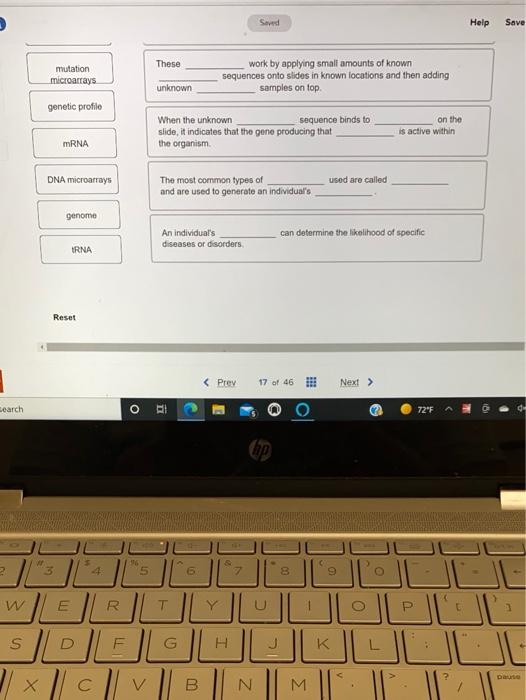 Solved Complete the following paragraph to describe how DNA | Chegg.com