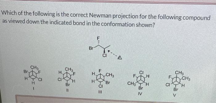Solved Which of the following is the correct Newman | Chegg.com