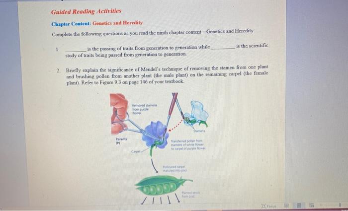 Solved Guided Reading Activities Chapter Content: Genetics | Chegg.com