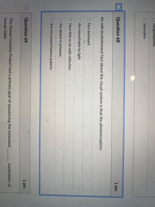 Solved the pancreas. Question 54 1 pts Which of the | Chegg.com