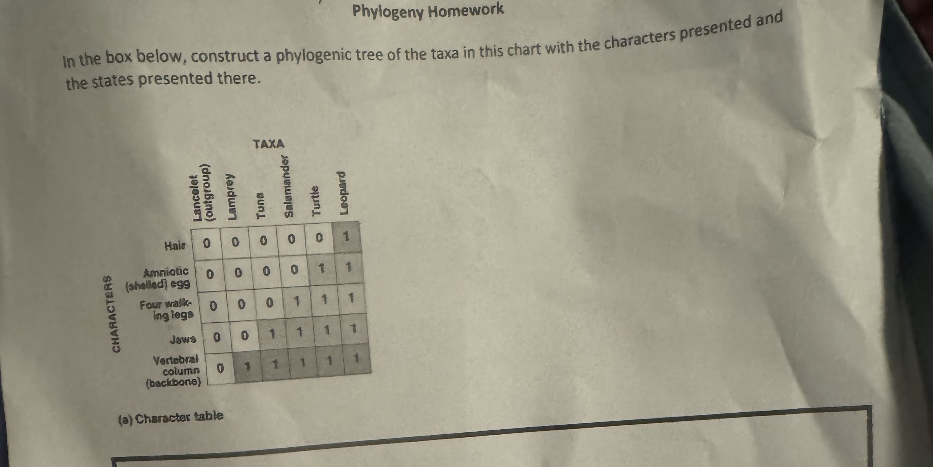 Solved Phylogeny HomeworkIn the box below, construct a | Chegg.com