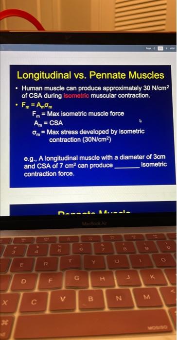 Solved A longitudinal muscle with a diameter of 3cm and CSA | Chegg.com