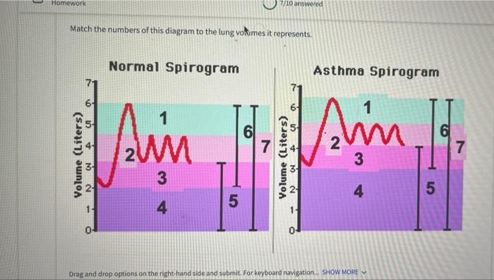 Solved Homework 7/10 answered Match the numbers of this | Chegg.com