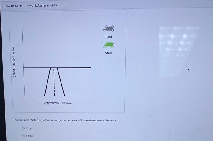 Solved 8. Areas and polygons More graph objects Two types of | Chegg.com