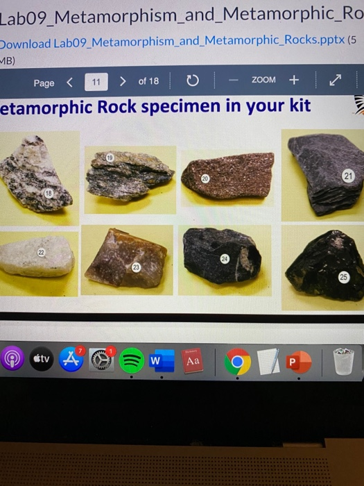 Lab9 Exercise: Identification of Metamorphic RocksIn | Chegg.com