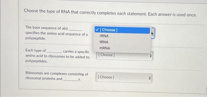 Solved Choose the type of RNA that correctly completes each | Chegg.com