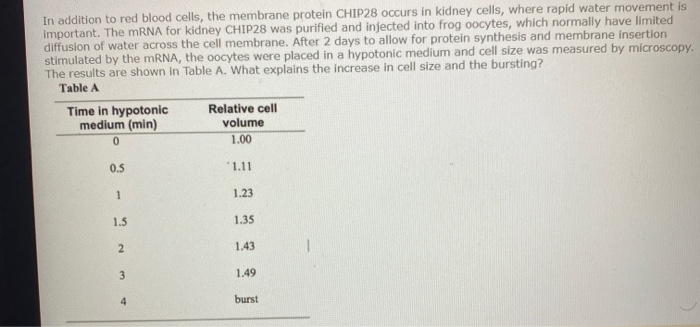 Solved In addition to red blood cells, the membrane protein | Chegg.com