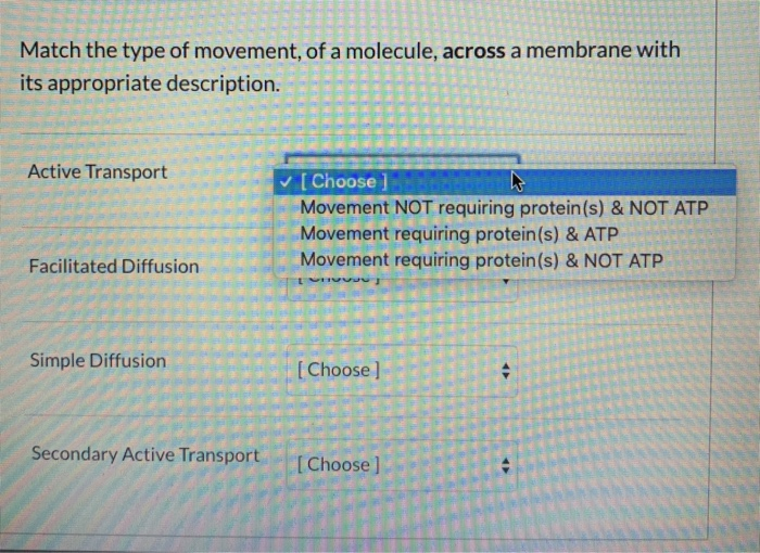 Solved Match the type of movement, of a molecule, across a | Chegg.com