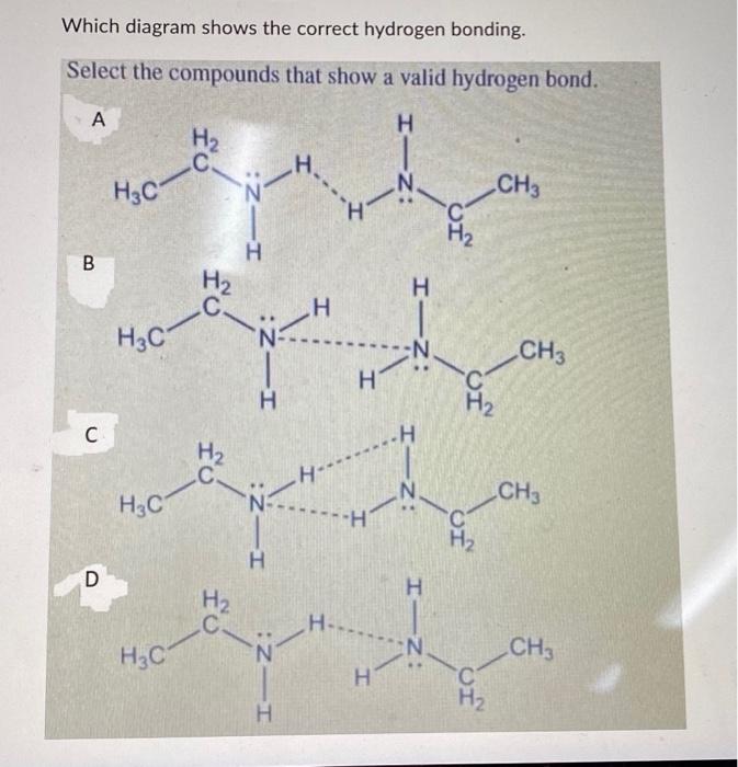 Solved Which diagram shows the correct hydrogen bonding. | Chegg.com Solved Which diagram shows the correct hydrogen bonding. | Chegg.com