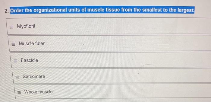Solved 2. Order the organizational units of muscle tissue | Chegg.com